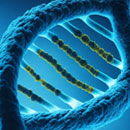 Our services - Victorian Cancer Biobank